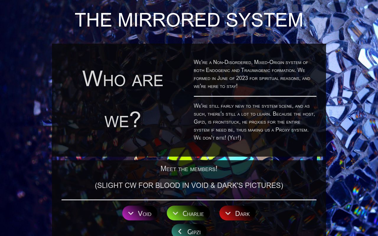 The Mirrored System